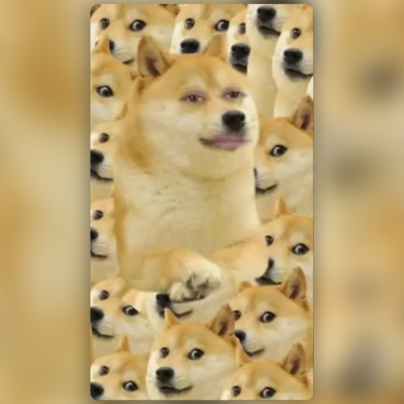 Doge Boss Lens by THE RP メ - Snapchat Lenses and Filters