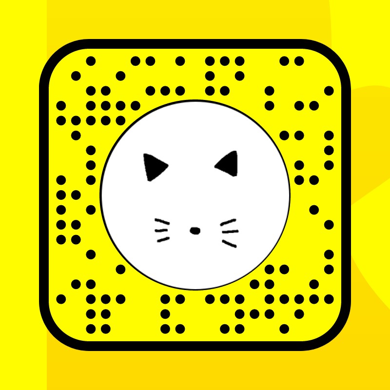 cat Filter by AdasaT | Snapchat Lenses