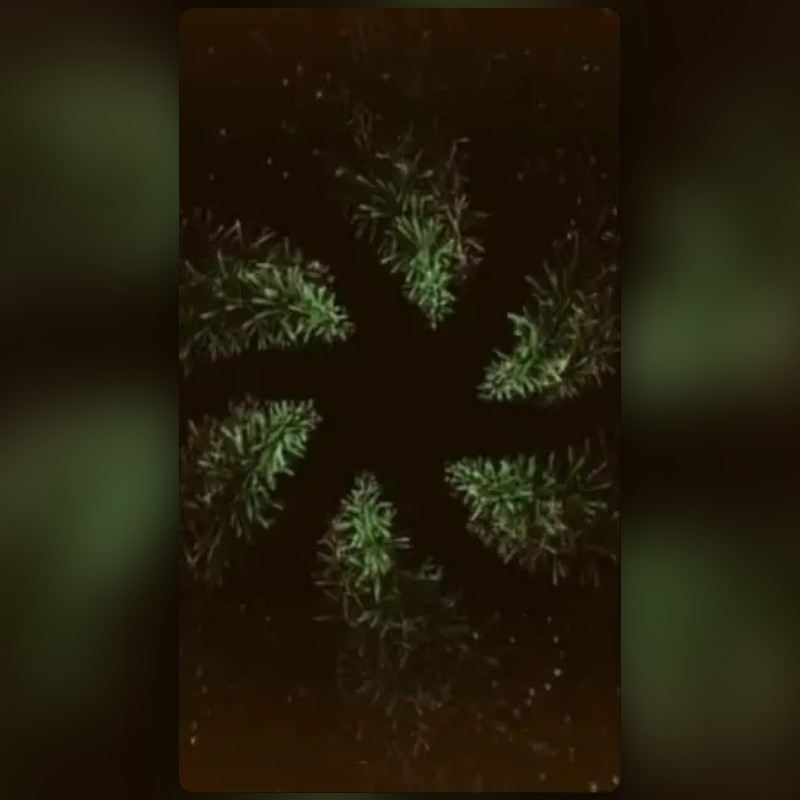 Green Filter by Breath Conductor | Snapchat Lenses