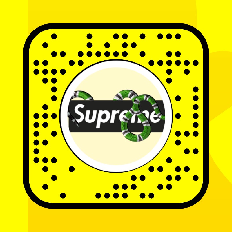 Supreme Snake Filter by Ariana ️ | Snapchat Lenses