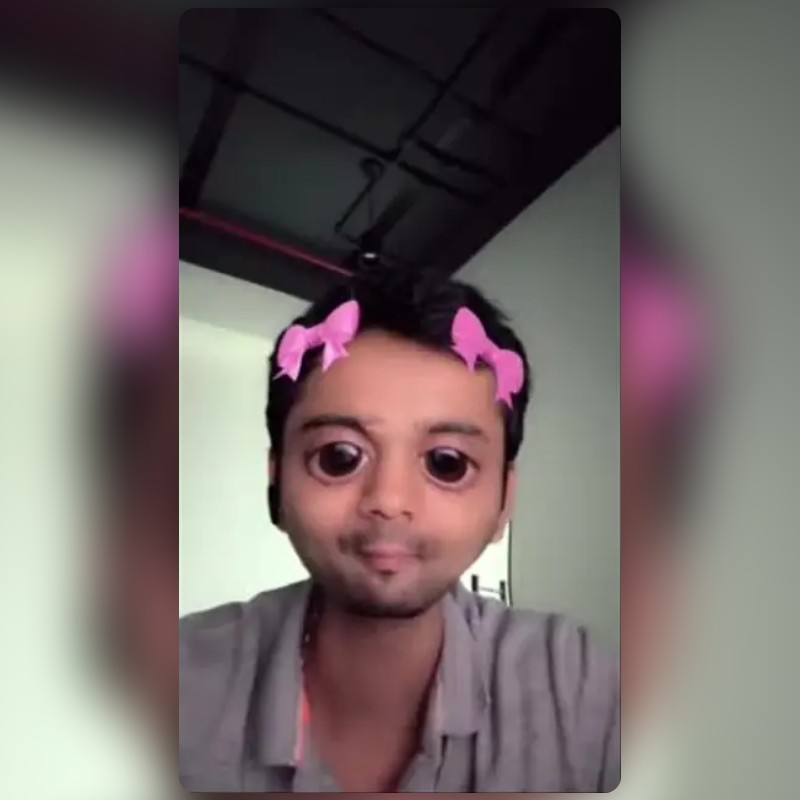 Pookie Hamster Filter by Ronin Labs | Snapchat Lenses