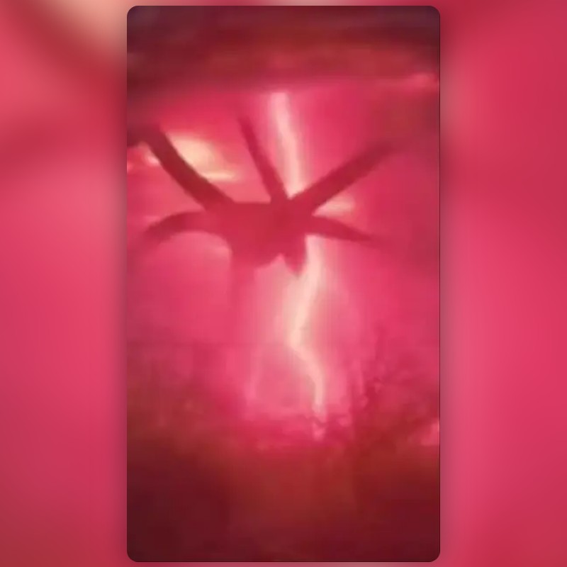 Stranger Things Filter by Cyril Bauchais 🏳️‍🌈 | Snapchat Lenses