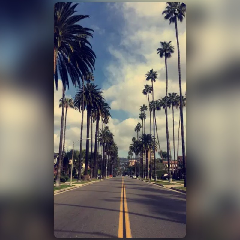 denim grain Filter by bry🥷 | Snapchat Lenses