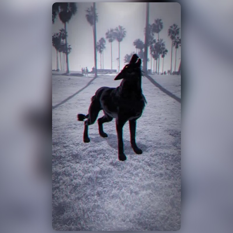Scary Wolf Lens by Snapchat - Snapchat Lenses and Filters