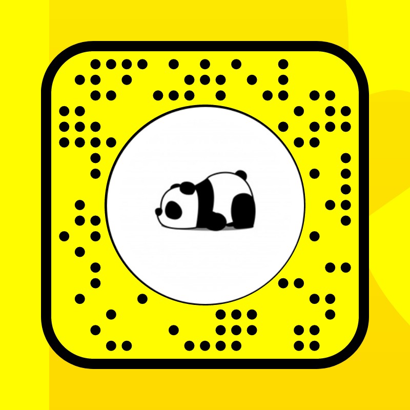 panda Lens by Snap Filter - Snapchat Lenses and Filters