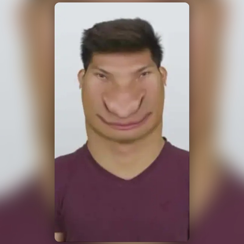 frog face Filter by عائلة هايل | Snapchat Lenses