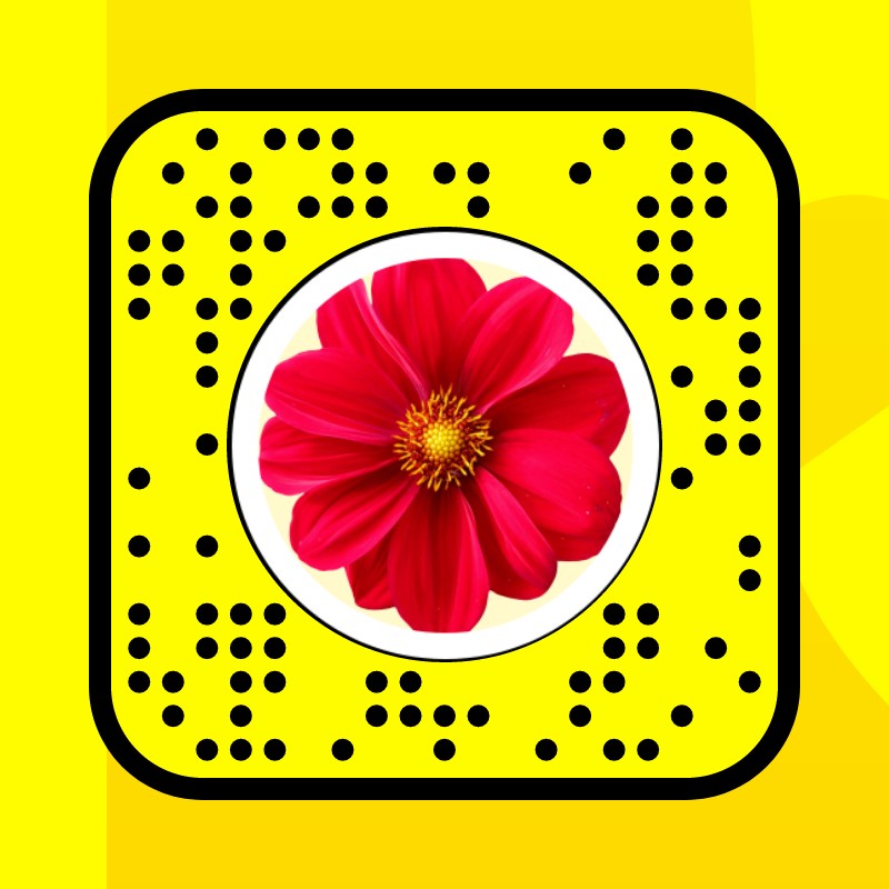 red flour blush Filter by Cecilia Sequeira | Snapchat Lenses