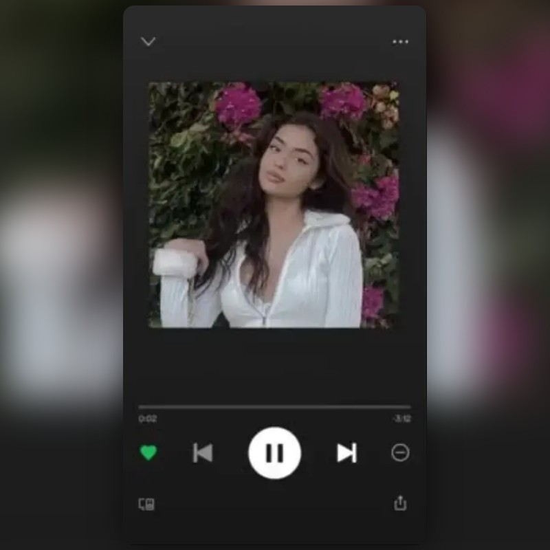 Spotify Filter by Osly | Snapchat Lenses