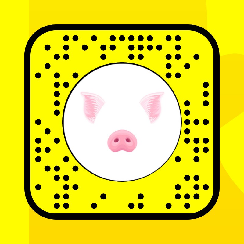 Cute Pig Face Lens by Malcolm Walker - Snapchat Lenses and Filters