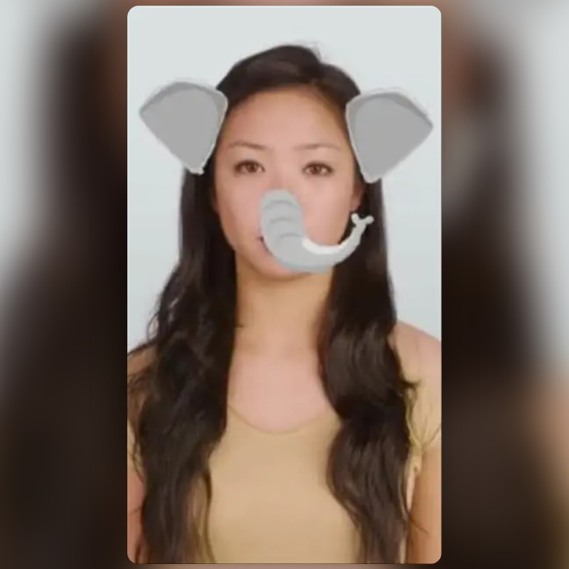 elephant Filter by 𝓕𝓪𝓱𝓭 ♡ 070 | Snapchat Lenses