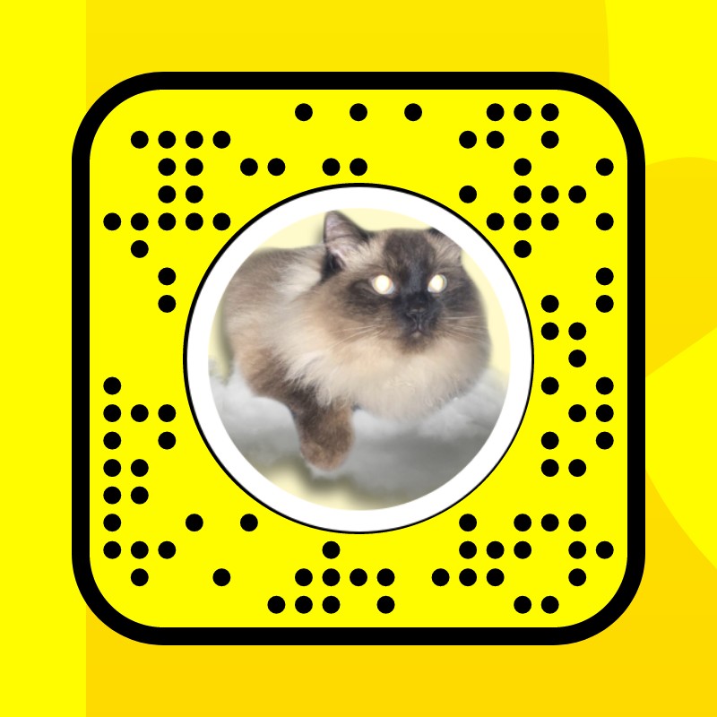 Bert on cloud Filter by Emilio Gaines | Snapchat Lenses