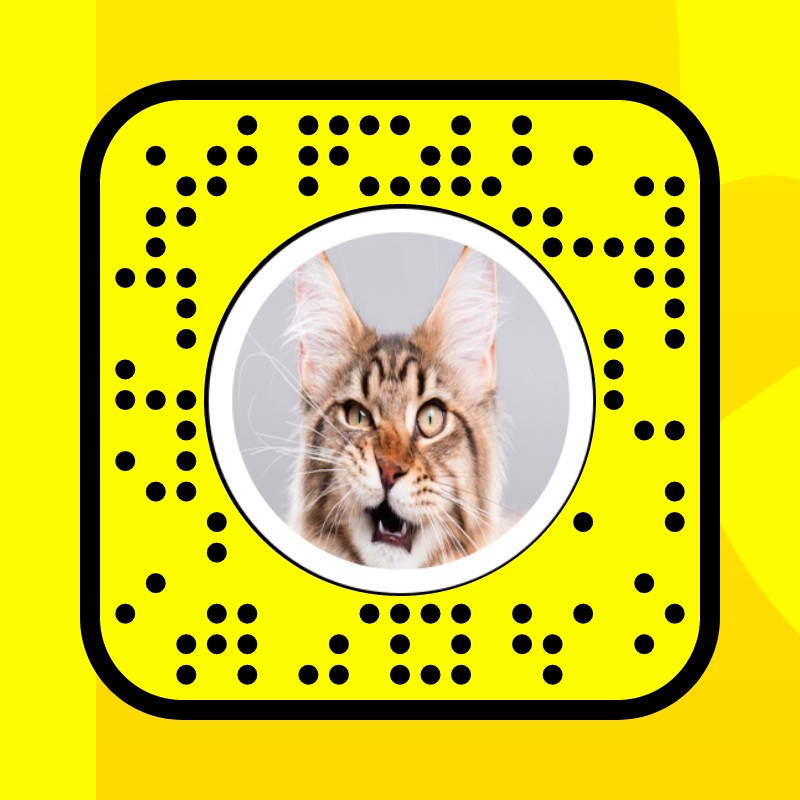 Kitty Kitty Lens by Taylor Capellaro - Snapchat Lenses and Filters