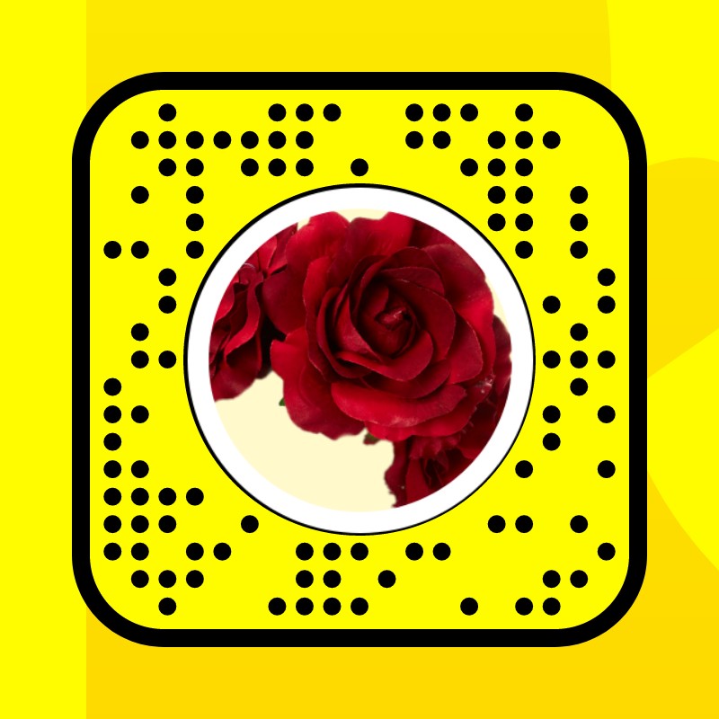 red flower Filter by Sadan Samad | Snapchat Lenses