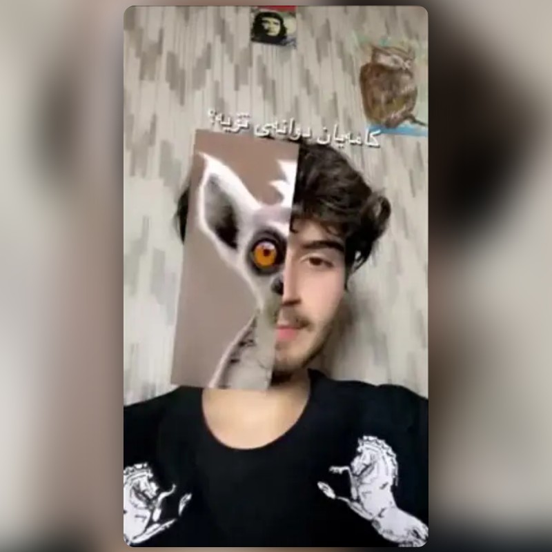 your animal twin Lens by OMAR🖤 - Snapchat Lenses and Filters