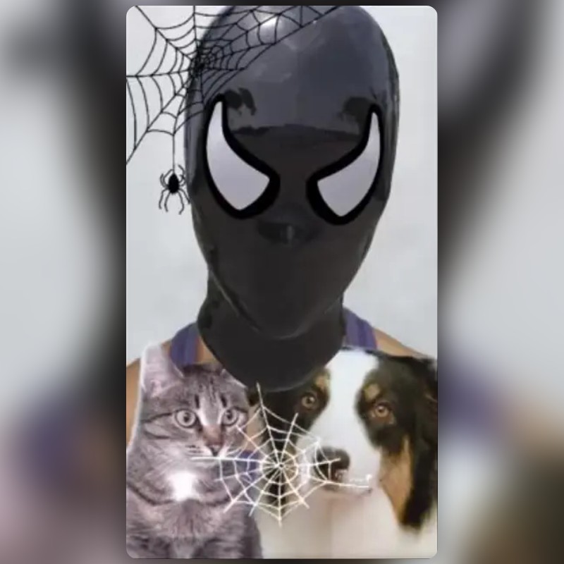 Spider man 3D Lens by Dayke Hallo - Snapchat Lenses and Filters