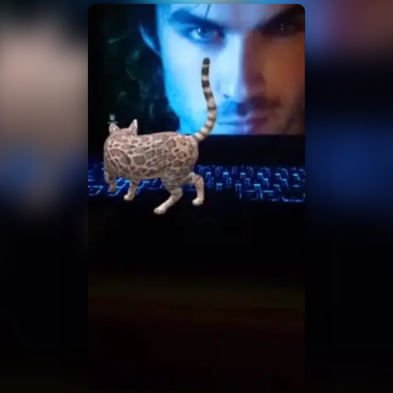 CAT Lens by 🌈lostboijourney⚡ - Snapchat Lenses and Filters
