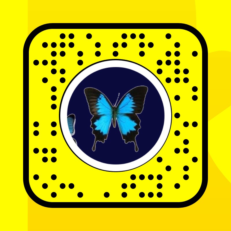 Night butterfly Filter by Deita | Snapchat Lenses