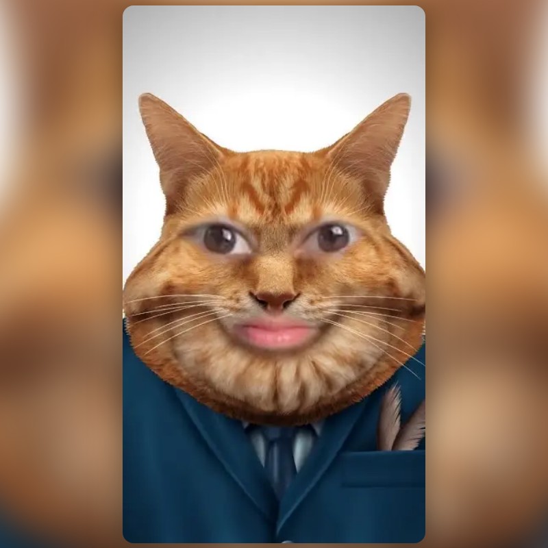 Puffy Cat Filter by Snapchat | Snapchat Lenses