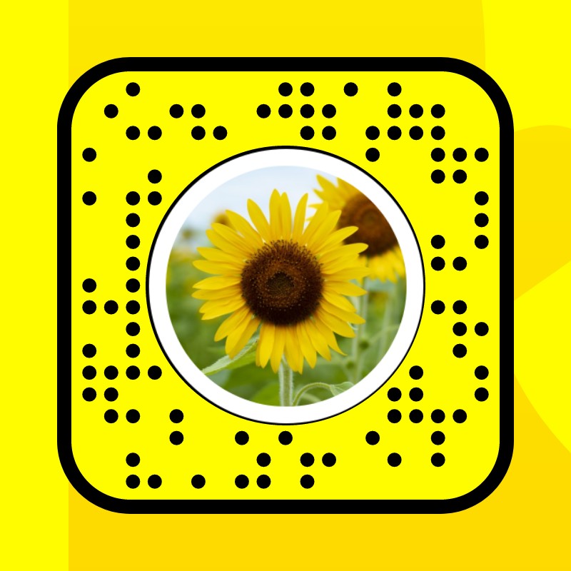 Summer flower Lens by Snapchat - Snapchat Lenses and Filters