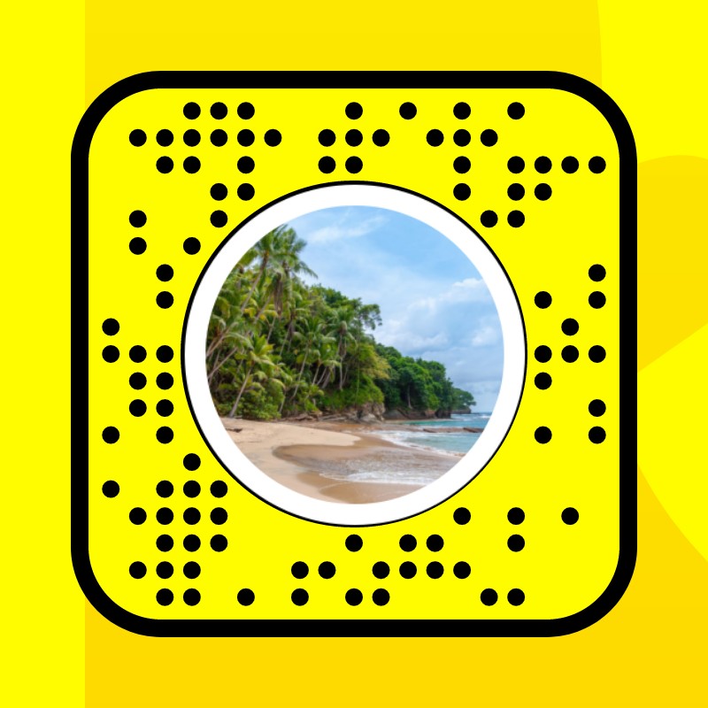 WFH BEACH PALMS Filter by jp pirie | Snapchat Lenses
