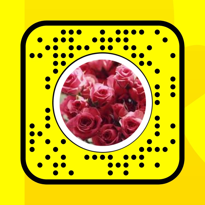 Untitled111 Lens by M - Snapchat Lenses and Filters