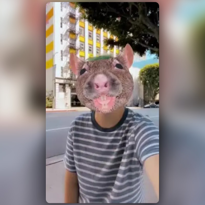 Rat Head Lens by 👻s0w_night👁️🌗 - Snapchat Lenses and Filters