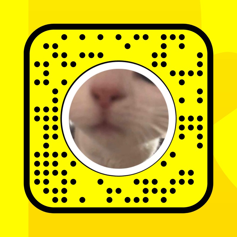 nike Filter by ʸᵃᵍᵐᵘʳ | Snapchat Lenses