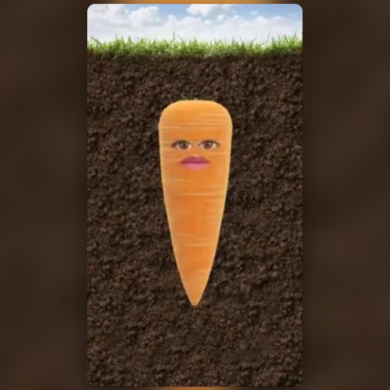 Carrot Filter by Phil Walton | Snapchat Lenses