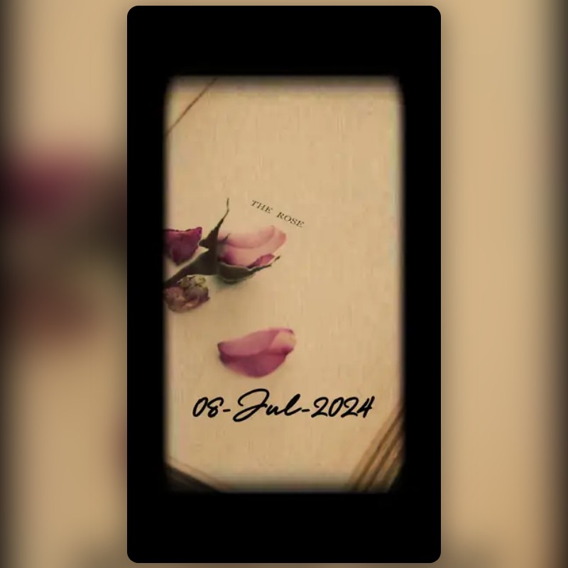 Vintage Frame Filter by tanushreeee | Snapchat Lenses