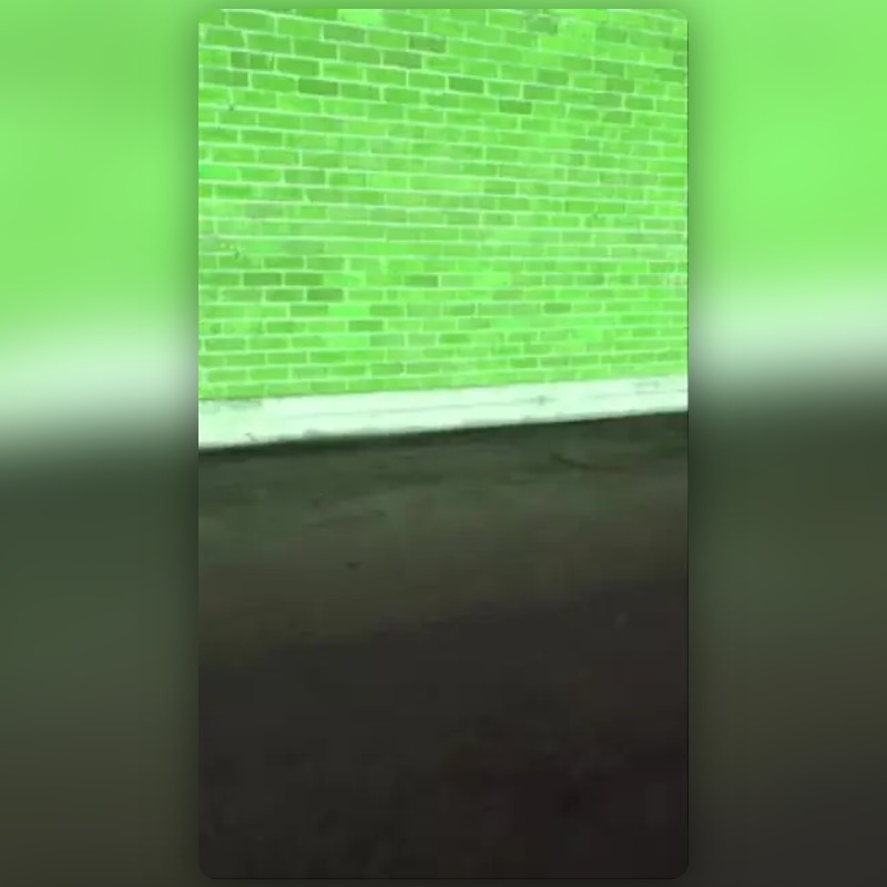 Skin Green Filter by Aditya Ramadhan | Snapchat Lenses