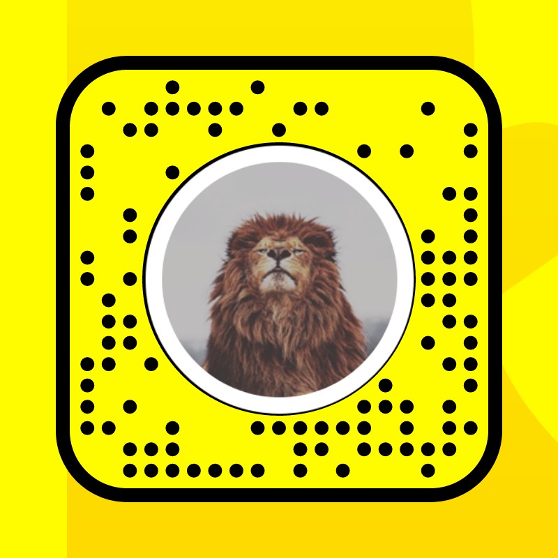 Lion Filter by Mary | Snapchat Lenses