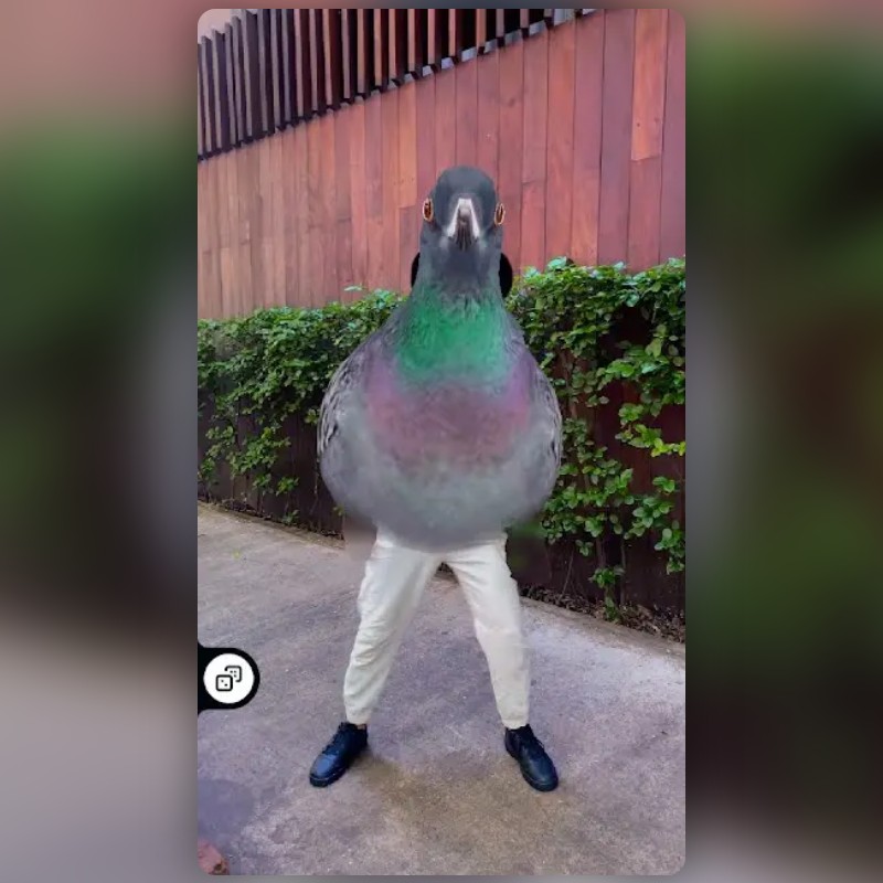 Shape Shift Prank Filter by Snapchat | Snapchat Lenses