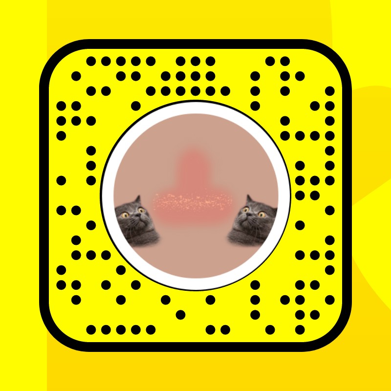 cute cats Filter by A M E L I A | Snapchat Lenses