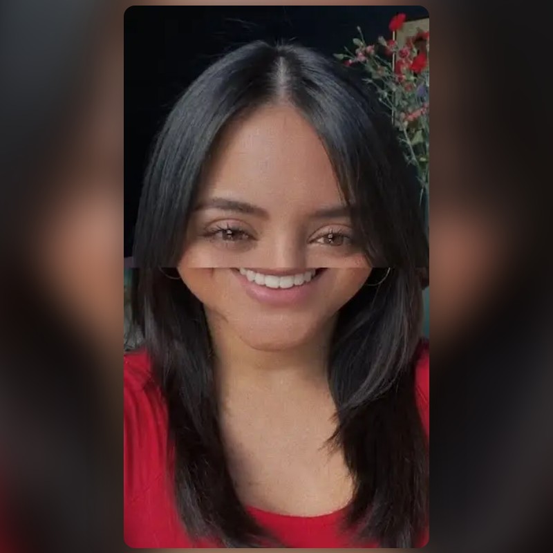 Fun Face Split Lens by Snapchat - Snapchat Lenses and Filters