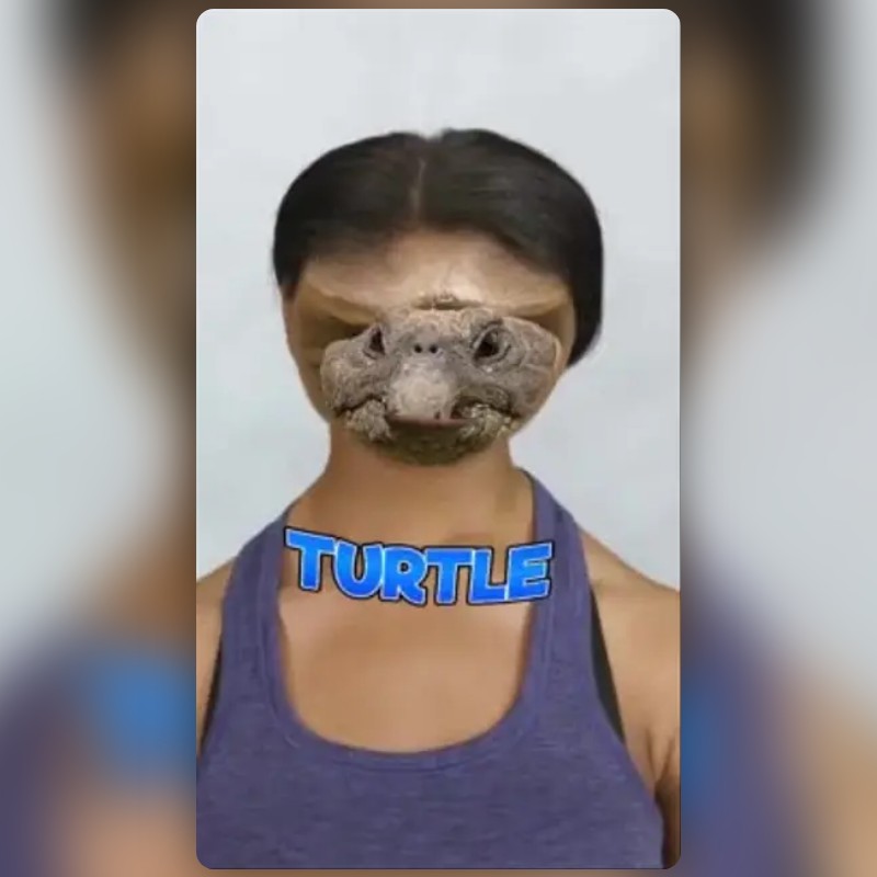 be my pet turtle Lens by Matthew Long - Snapchat Lenses and Filters
