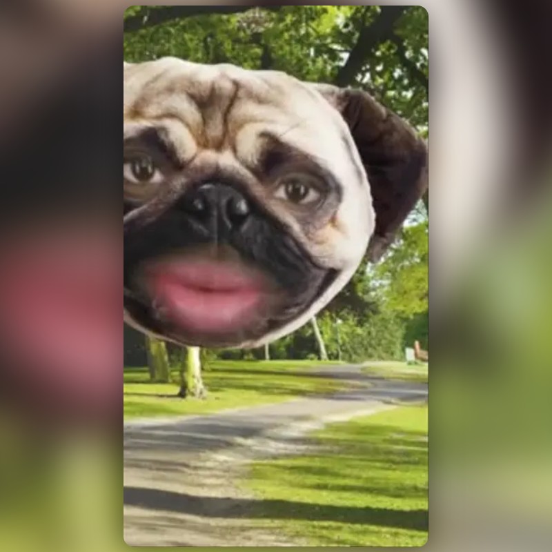 Pug at park Filter by Danielle Grace | Snapchat Lenses