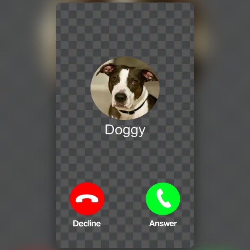Doggy Call Lens by Adnan 🇧🇭 - Snapchat Lenses and Filters