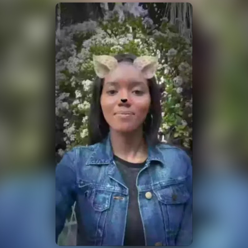 Catie Cat Lens by ʜ.ᴇ sᴏɴɢᴀ - Snapchat Lenses and Filters