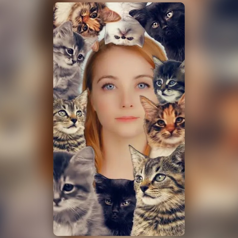 Cats Frame Lens by Snapchat - Snapchat Lenses and Filters