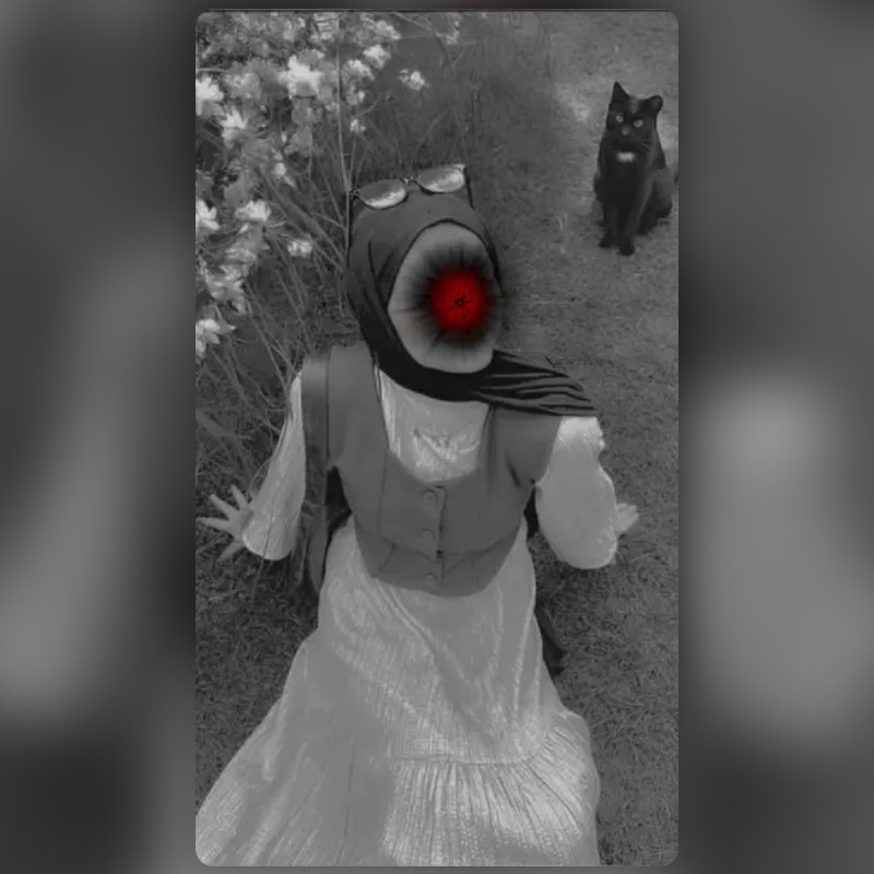 Spider Web Filter by Mr Krishan | Snapchat Lenses