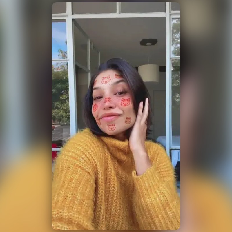 Face Animal Stickers Lens by Snapchat - Snapchat Lenses and Filters