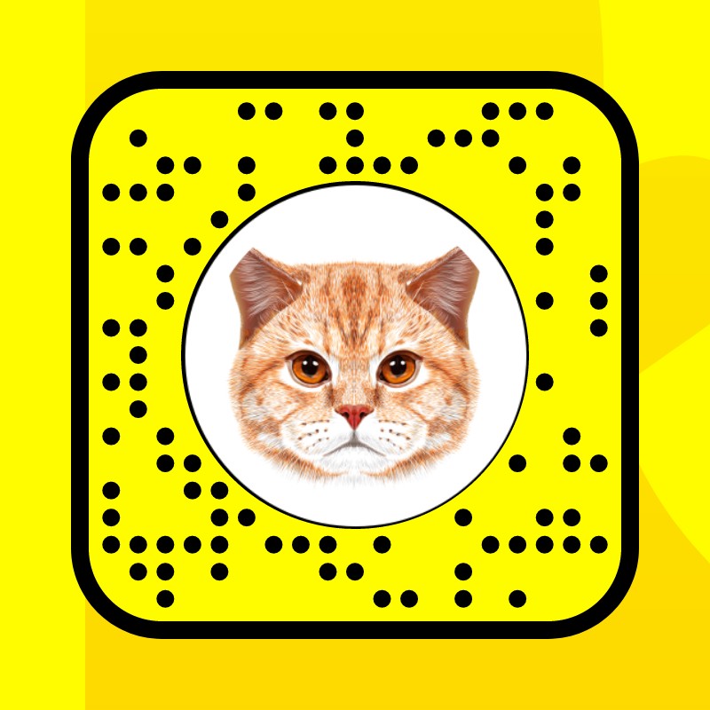 cat Lens by Digi Zone - Snapchat Lenses and Filters