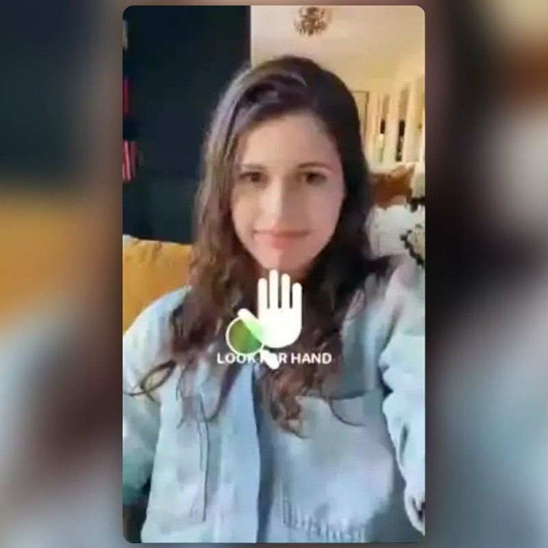 SUNGLASSES CAT Lens by Mike Berry - Snapchat Lenses and Filters