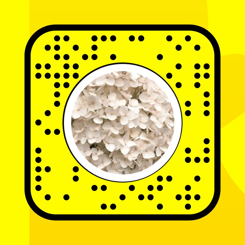 wedding fat Filter by ‏𒀭 | Snapchat Lenses