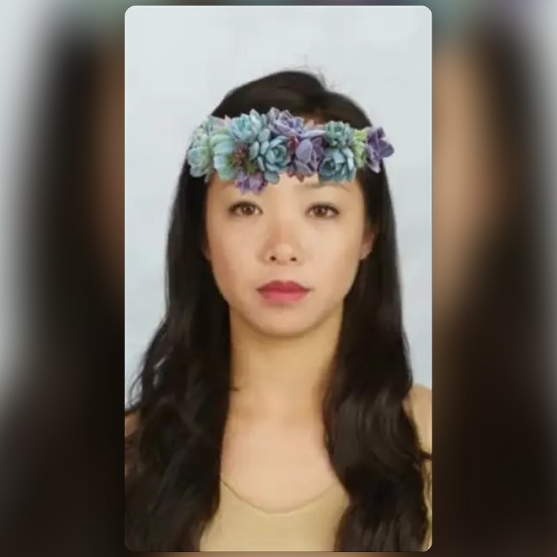 Succulent Crown Filter by agreeable greg | Snapchat Lenses