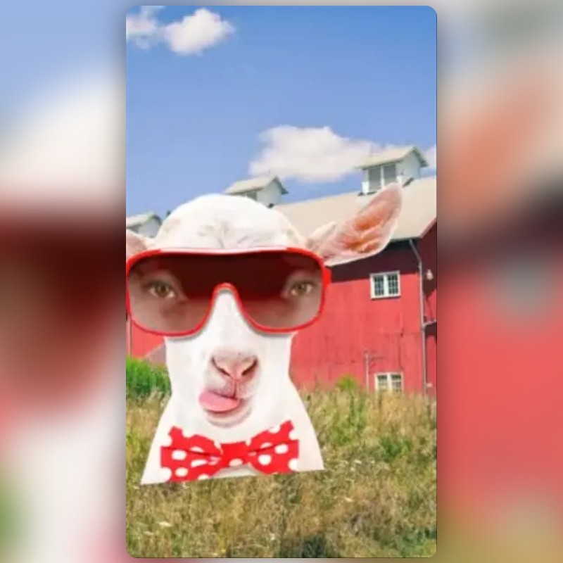 Cool Goat Face Lens by Danielle Grace - Snapchat Lenses and Filters