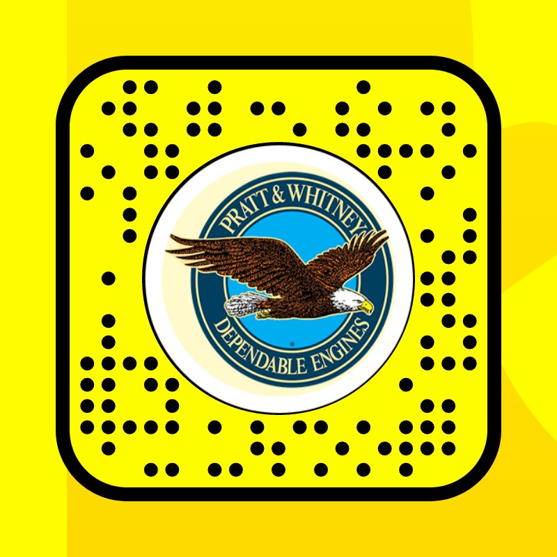 PW Hat Filter by Diana Rose Smith | Snapchat Lenses