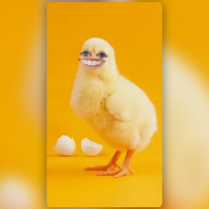 Baby Chicken Lens by Snapchat - Snapchat Lenses and Filters