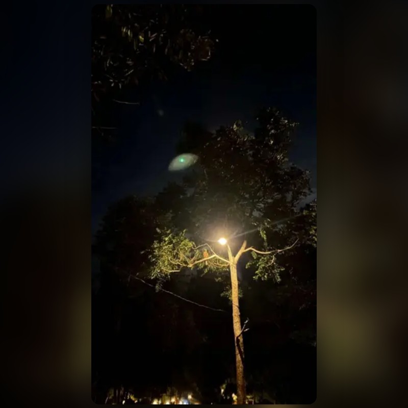 Night streak Filter by ⚡ | Snapchat Lenses