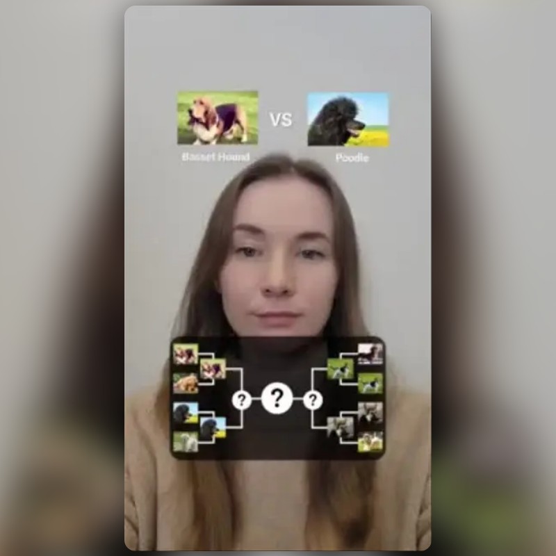 Dog Breeds Lens by SELVA SSA - Snapchat Lenses and Filters